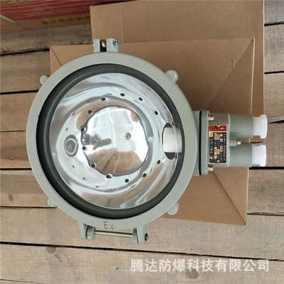 腾达 BXL-100圆形防爆吸顶灯 化工仓库车间厂房屋顶灯 节能吸顶灯