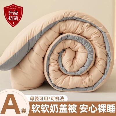 双面磨毛秋冬被纯色拼色亲肤保暖ins风裸睡化纤被子200x201.8m床