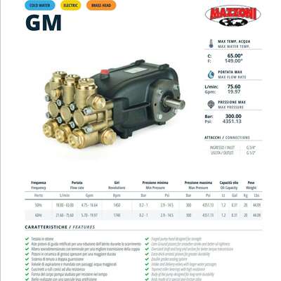 意大利 高压柱塞泵 MAZZONI 玛佐尼--GM33250,GM43170,GM54150