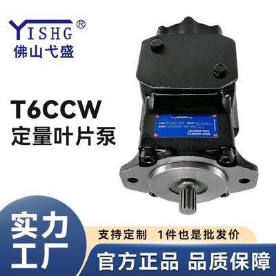叶片液压泵T6CCW-020 028 031-003 005 006 008 010-2R00 01-C100