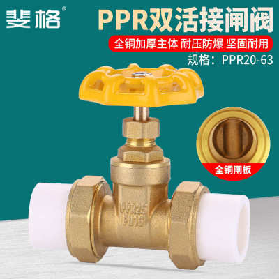 全铜20PPR管阀门自来水管开关4/6分闸阀25ppr双活接热熔32止水阀