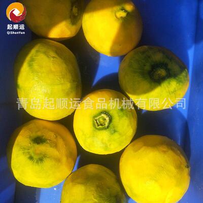橙子去螺皮机去 厂家现货旋不锈钢NIT橙子皮机 十堰市橙子去皮机