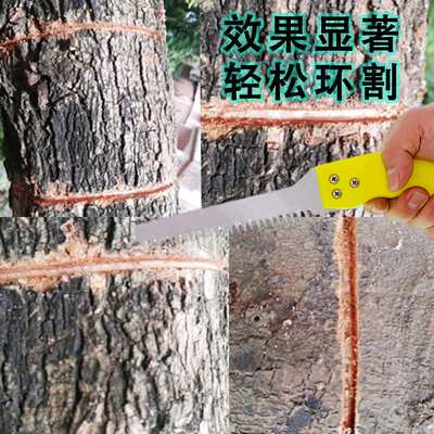 180果树环割锯环剥锯横割刀荔枝横割据果树横割农用果树果园工具
