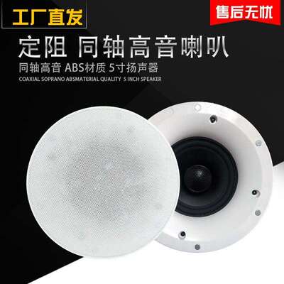 工厂定阻无边框吸顶音响同轴高音吸顶喇叭天花板音箱6.5寸