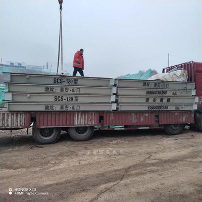 2电子地磅秤物 工厂工地专用3*米9100-00t 各流种尺寸SCS-100t汽