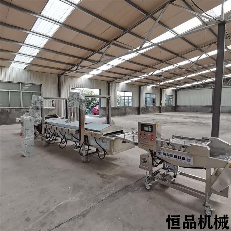 麻辣烫油条油炸设备自动化变频调速油炸机春卷油炸生产线