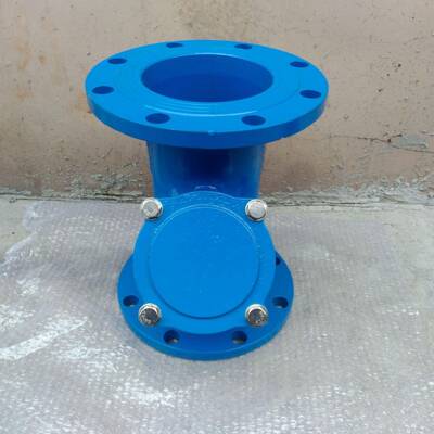 嘉硕环保供应-SY14C-DN150-PN16 18目Y型过滤器