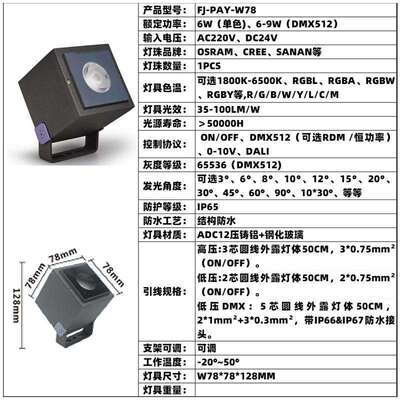 LED一束光3W6W9W方形射灯金黄光暖白高光效全彩RGBL别墅古建园林