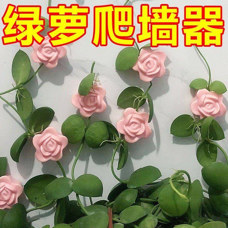 绿萝爬墙器大绿萝长藤款爬藤植物爬墙固定器挂钩绿萝藤蔓夹扣卡扣