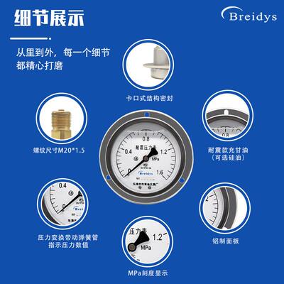 压力表YN100ZT轴向带边耐震压力表0-1.6mpa气压水压液压真空表