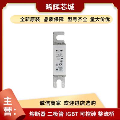 现货170M1322 170M1323 库存充足型号齐全直流熔断器电子元器直供