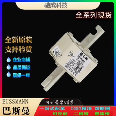 巴斯曼170M5209 170M5210 170M5211 厂家直供零售 快熔保险丝