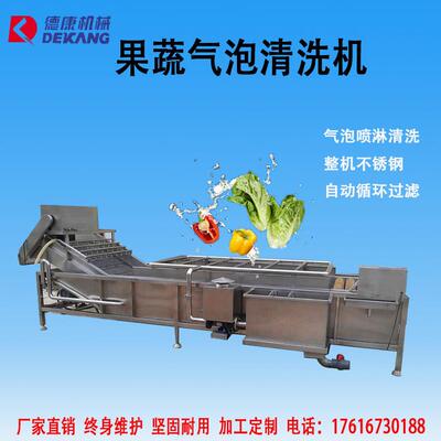 诸城德康蔬菜水果清洗机大白菜气泡清洗机洗菜净菜加工设备厂家