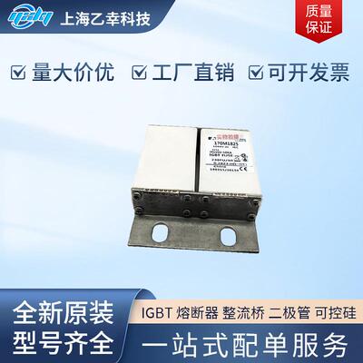 巴斯曼熔断器 170M1812 170M1813 170M1824 170M1825 170M1826