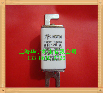 独立式螺丝安装 快速熔断器NGTOO-125A 方管刀形触头NGT00-125A