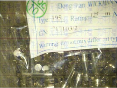 WICKMANN 漫步者专用 保险管 195系列 T125MA 250V玻璃保险丝