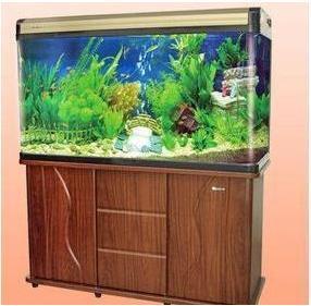 正品闽江鱼缸水族箱九星超白玻璃