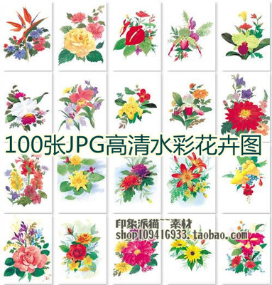 设计素材 100张高清清新水彩花卉 玫瑰睡莲向日葵鸢尾421M 350dpi