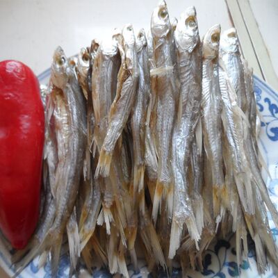 寿县腰皮鱼安徽噘嘴腰子翘嘴