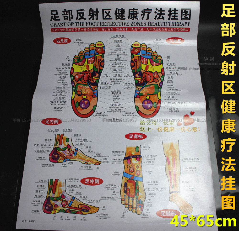 养身馆足部反射区健康疗法挂图医院脚底穴位按摩效果教学教程足图
