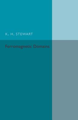 【预订】Ferromagnetic Domains