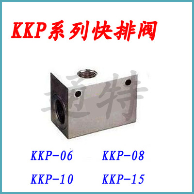 快排阀快速排气阀KKP-06081015QE-01234XQ17000XQ171000/1500ASV