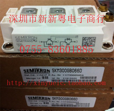 SKM300GB066D 功率模块 专业卖家 准确报价 当天发货