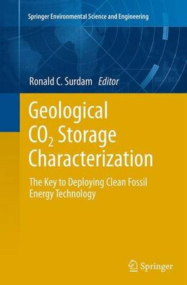【预订】Geological Co2 Storage Characterizat...