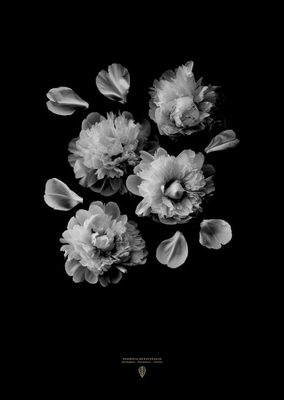 海报芍药装饰画现货]