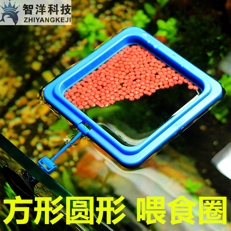水族鱼缸喂食圈投食圈喂鱼圈鱼食圈喂鱼器大号 金鱼热带鱼观赏鱼