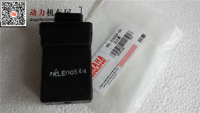 适用于至尊巡鹰ZY125T-2A 凌鹰ZY125T 欧二点火器 电子打火器8线