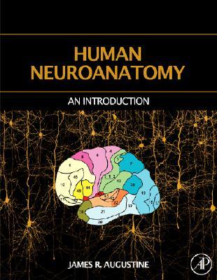 【预售】Human Neuroanatomy
