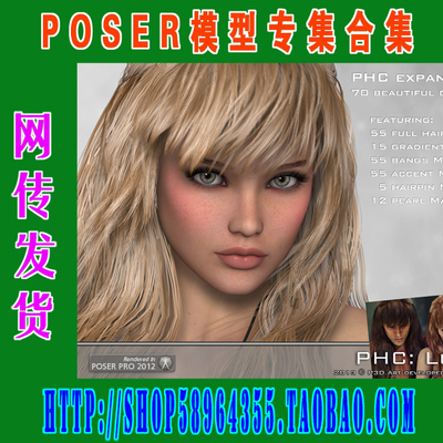 POSER模型——发型合集之十 3DVD(3M-171)