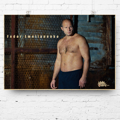 UFC海报Fedor最后的皇帝肥多