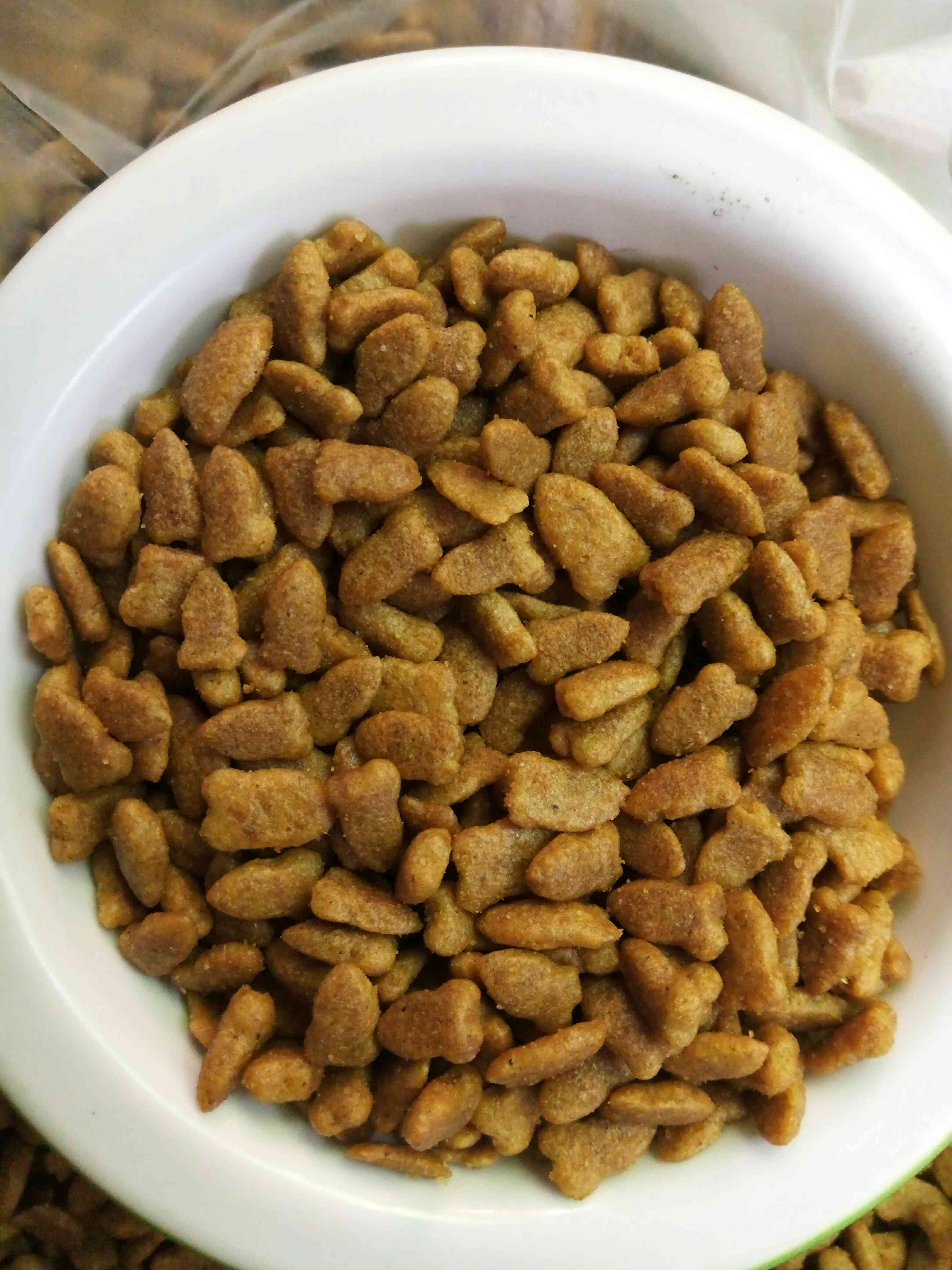 散装猫粮极地味道猫咪主粮天然营养500g折耳暹罗猫咪粮五斤起包邮