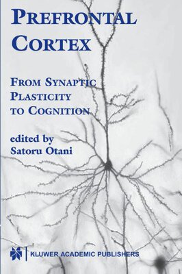 【预订】Prefrontal Cortex: From Synaptic Pla...