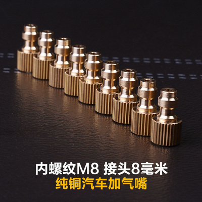 高压打气筒30mpa配件40mpa汽车加气嘴全铜 内螺纹M8*1 快接8mm