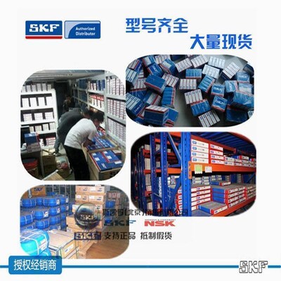 新款 进口NSK SKF轴承 2305 2306 2307 NJ2308/ECM/ECJ/ECP/C3