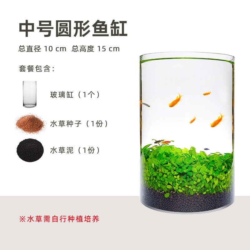 速发生态瓶水草缸鱼缸玻璃微景缸办公桌面创意造景观鱼缸真水草种