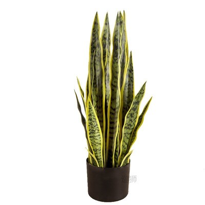 60cm  Artificial Sansevieria Trifasciata Snake Plant Big Siz