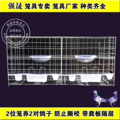 巢箱放飞笼阳台鸽笼养殖笼大型二层食槽H网笼笼口2位铁丝笼用具4