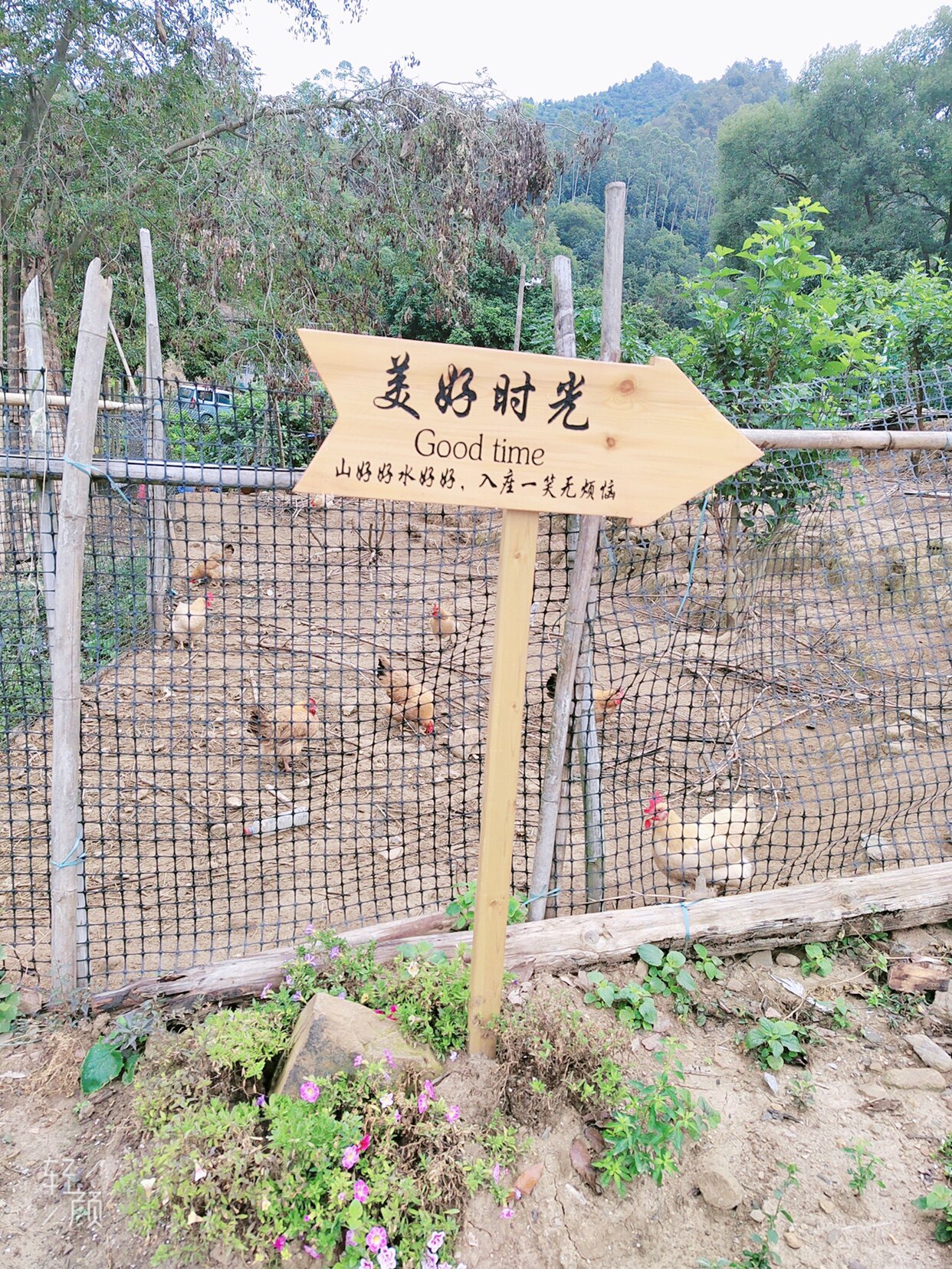 定制户外热卖实木广告导向牌路标指示牌双面箭头雕刻立式木牌标识