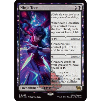 万智牌 TMT 忍者神龟 Ninja Teen 少年忍者 平/闪