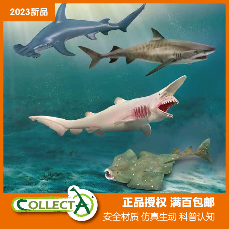 CollectA我你他欧氏剑吻鲨亚马孙河豚扁鲨露脊鲸海洋生物模型玩具