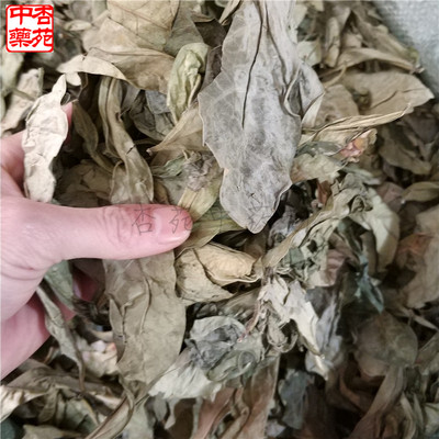 中药材中草药龙利叶500克包邮 龙俐叶龙舌叶龙脷叶牛耳叶