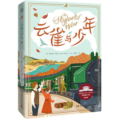 【新华文轩】云雀与少年 (英)希拉瑞·麦凯(Hilary McKay) 正版书籍 新华书店旗舰店文轩官网 湖南文艺出版社