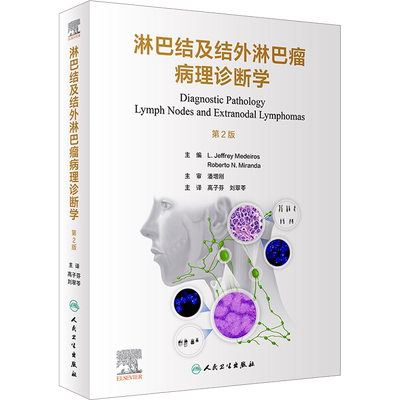 淋巴结及结外淋巴瘤病理诊断学 第2版第二版 淋巴结及结外淋巴瘤的良性及恶性病变皮肤弥漫大B细胞淋巴医学书籍人民卫生出版社正版