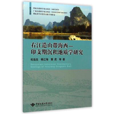 右江造山带海西-印支期沉积地质学研究 杜远生//杨江海//黄虎 正版书籍 新华书店旗舰店文轩官网 中国地质大学出版社
