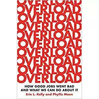 现货 英文原版 超负荷 Overload: How Good Jobs Went Bad and What We Can Do about It