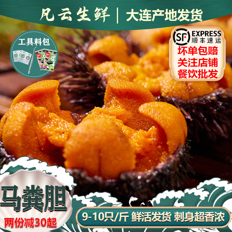 马粪海胆鲜活紫黄即食日料现剥刺身生鲜大连海鲜食材海胆肉刺赤身